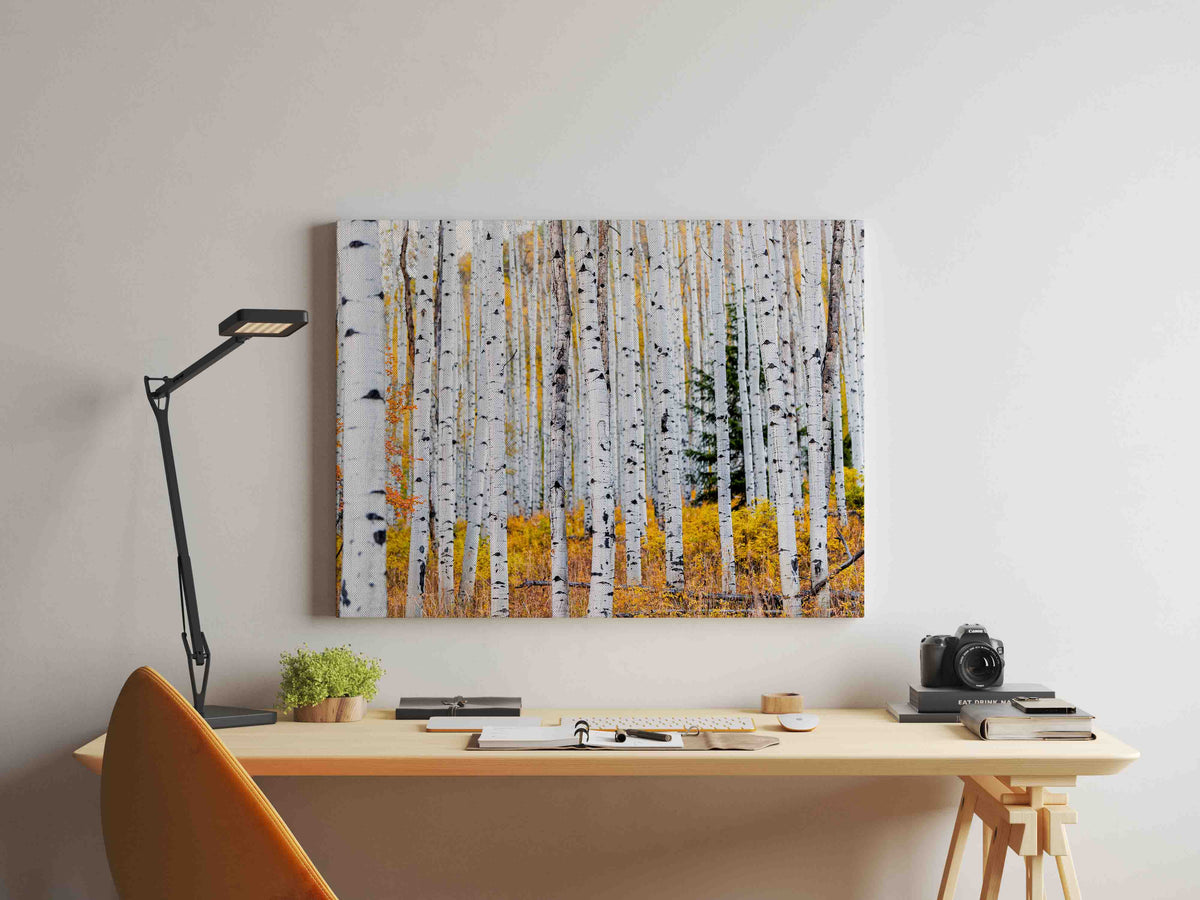 Shop Birch Tree Canvas Wall Art | Green Planet Home Décor – Green ...